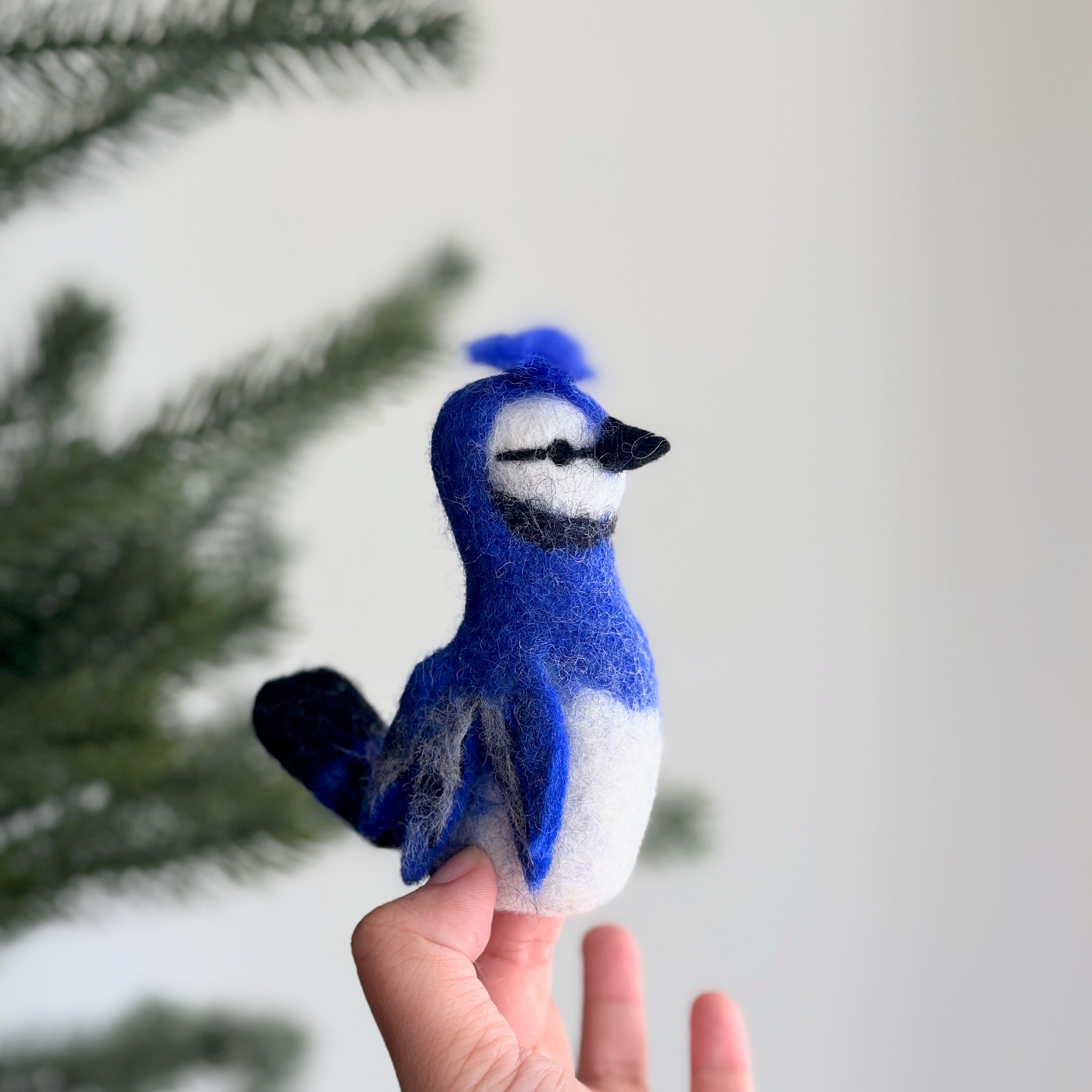 Florida Blue Jay Finger Puppet: Natural Beauty at Fingertips: Ganapati ...
