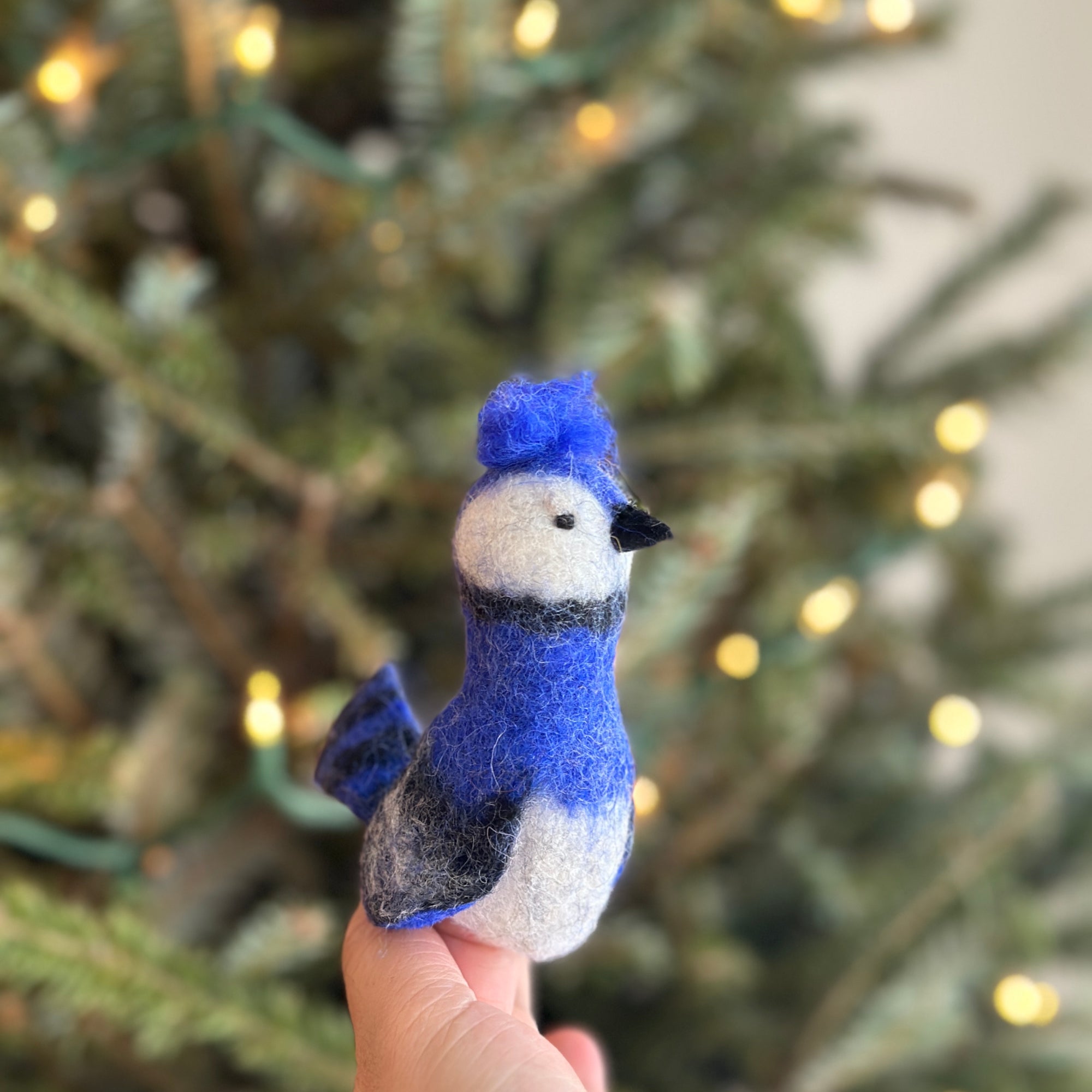 Florida Blue Jay Finger Puppet: Natural Beauty at Fingertips: Ganapati ...